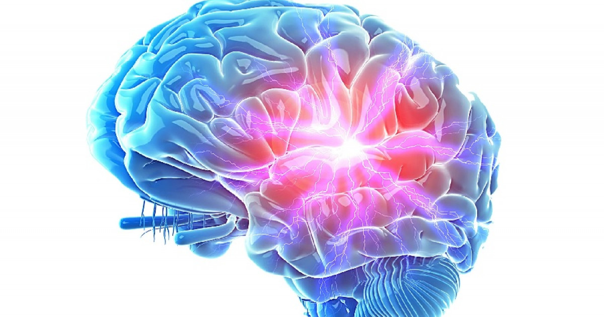 ¿La psicoterapia influye en el cerebro humano?