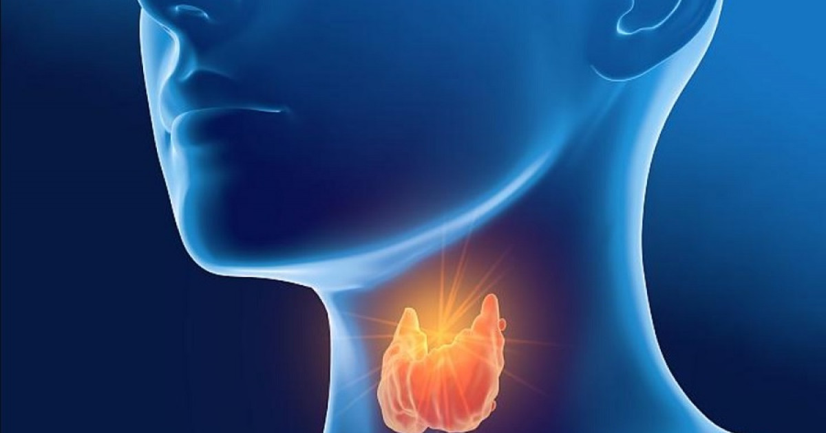 Hipotiroidismo: síntomas, causas y tratamiento