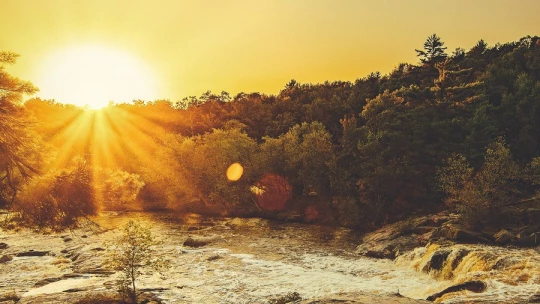 Citas Famosas Sobre El Sol 200 Frases Bonitas Para Todas Las