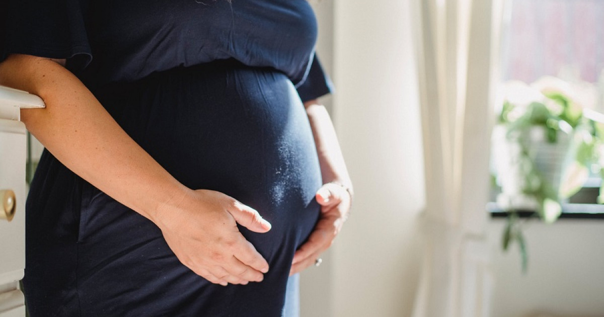 Las 5 etapas del desarrollo embrionario