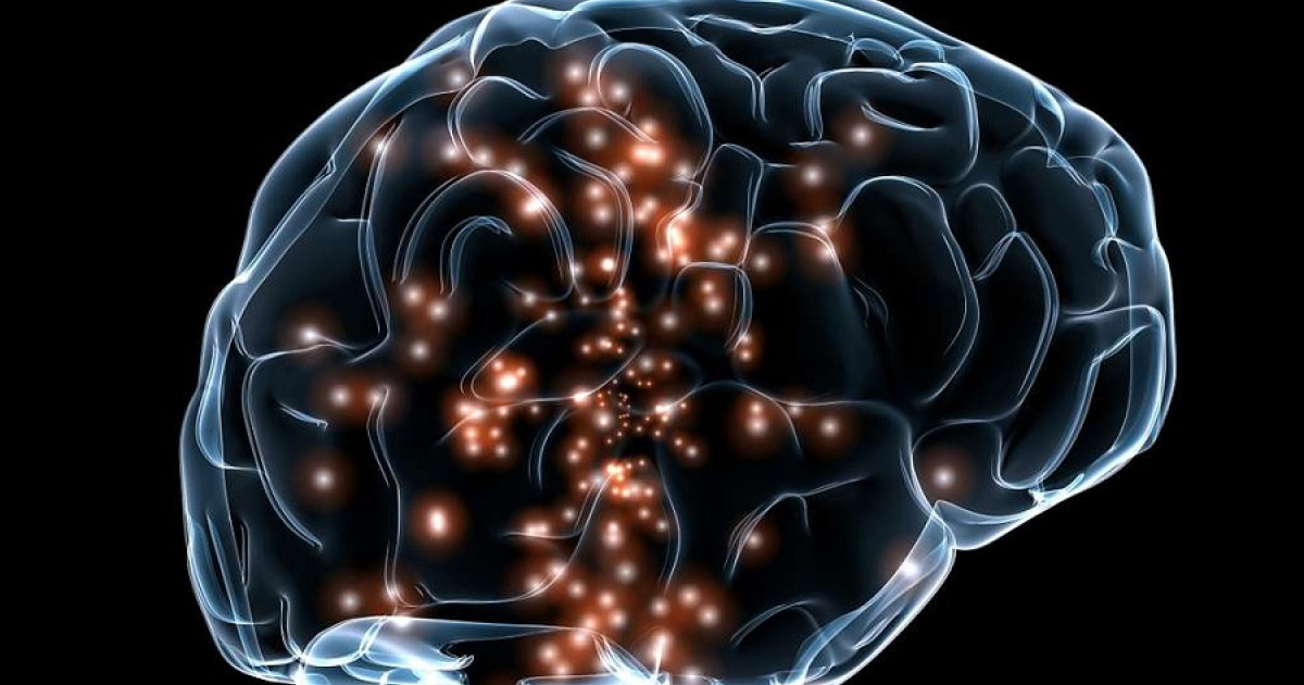 ¿Por qué es importante el concepto de la neurodiversidad?