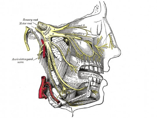Alodinia: tipos, causas y trastornos relacionados