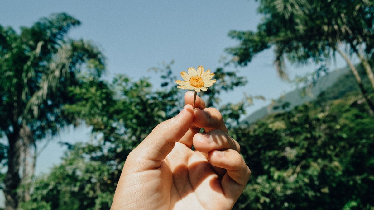 ¿Cómo crear la vida de tus sueños?