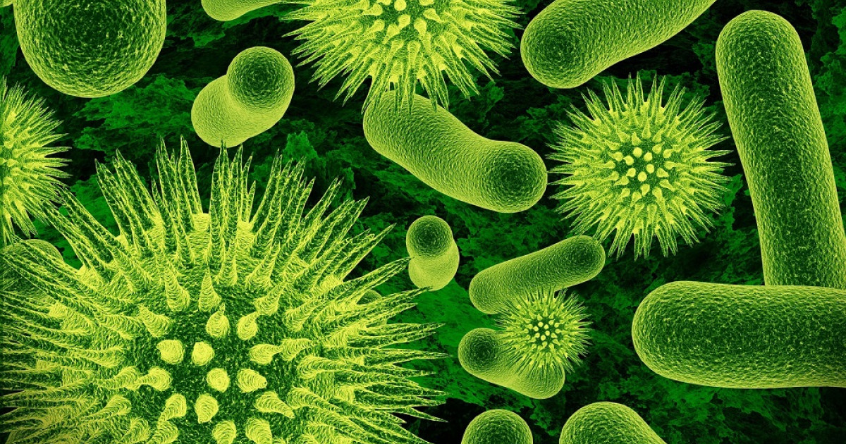 Los 5 tipos de virus, y cómo funcionan