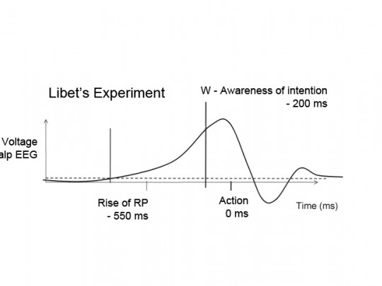 Barognosia: ¿qué es y cómo funciona esta capacidad?