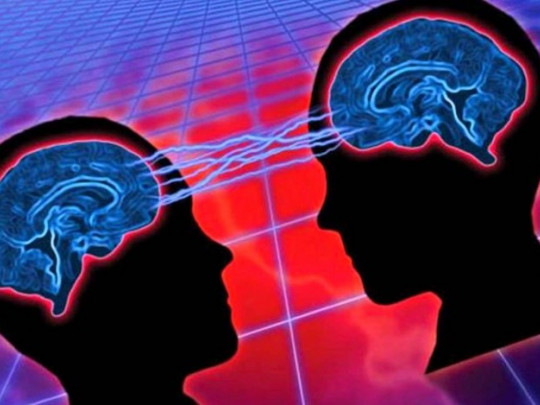 ¿Qué es un conectoma? Los nuevos mapas del cerebro