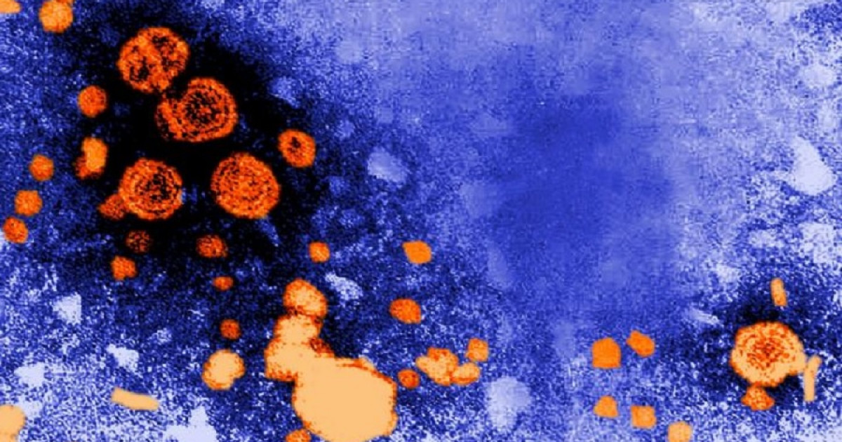 Hepatitis: qué es, tipos, síntomas y tratamientos