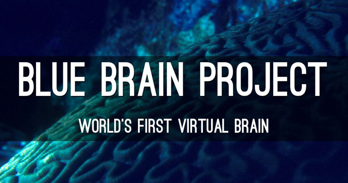 Blue Brain Project: reconstruyendo el cerebro para entenderlo