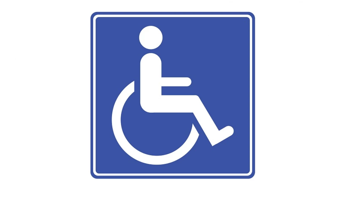 Discapacidad Fisica Logo Inicio CAID