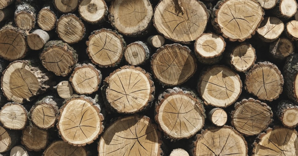 Xilofobia: síntomas, causas y tratamiento