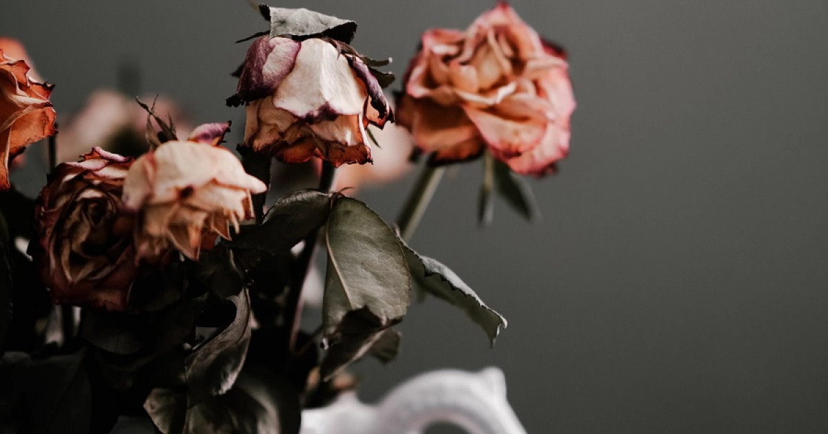 Kodokushi: la oleada de muertes solitarias que asola Japón