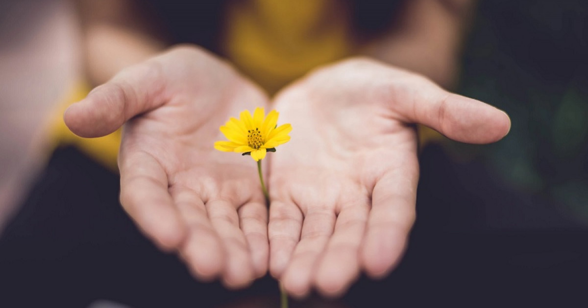 ¿Para qué sirve pedir perdón? Sus 6 beneficios