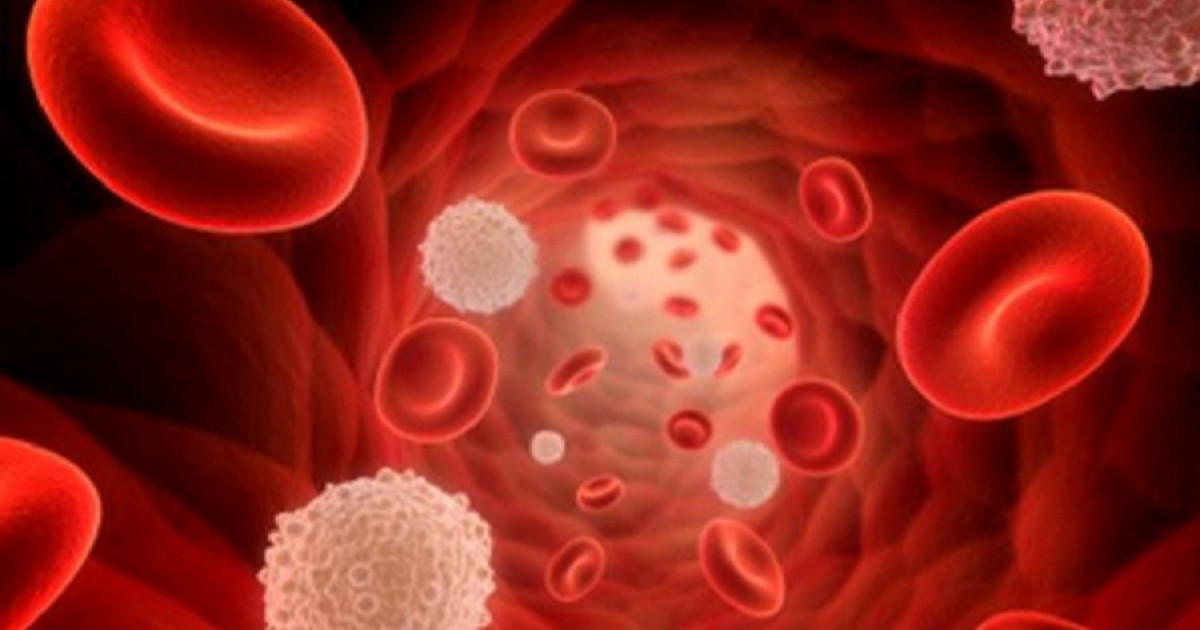 Estrógenos: tipos, funciones y efectos en el cuerpo