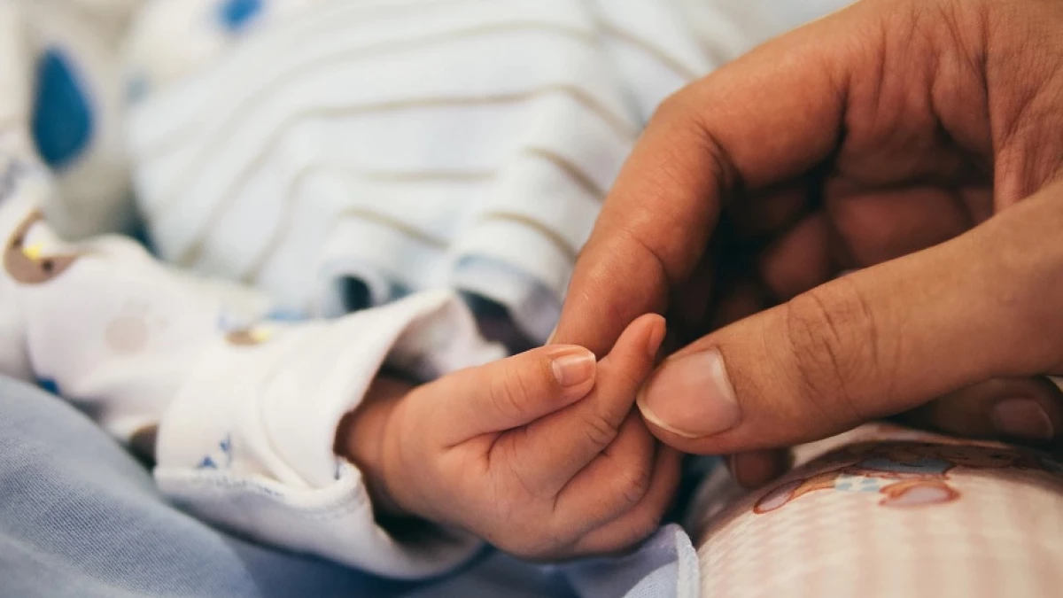 Respuestas De La Hoja De Trabajo Sobre Reflejos De Formas Consejos