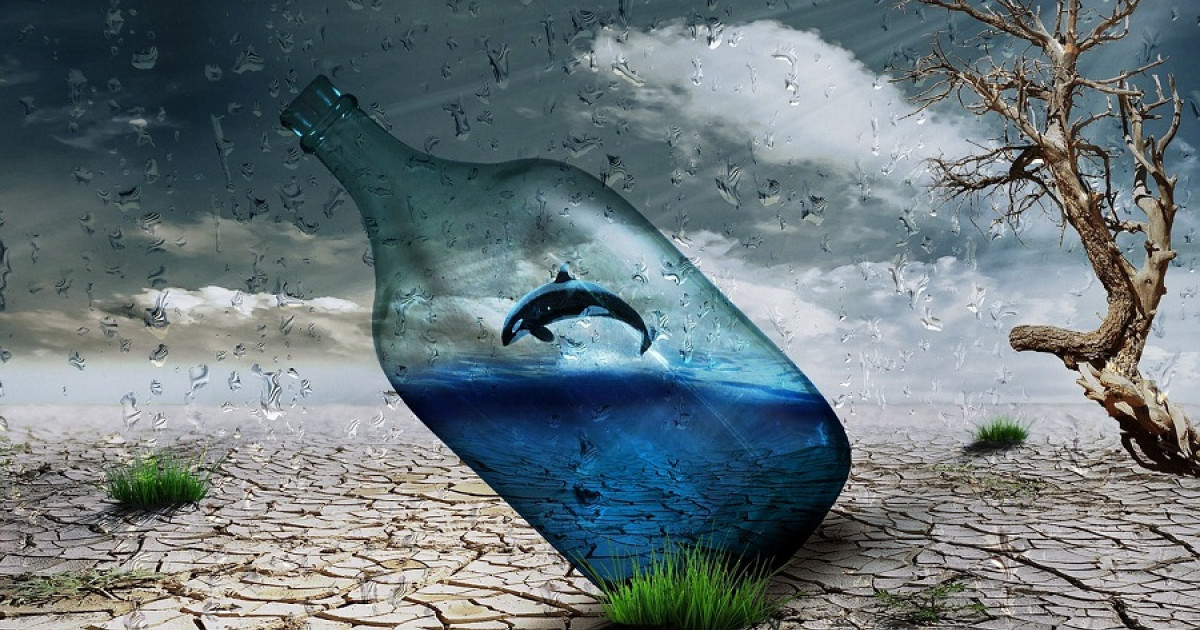 "Estado de Flow": el estado mental de máxima motivación