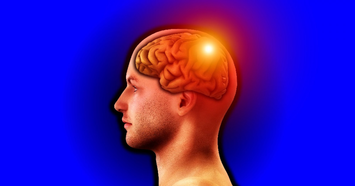 Lóbulo parietal: características y funciones