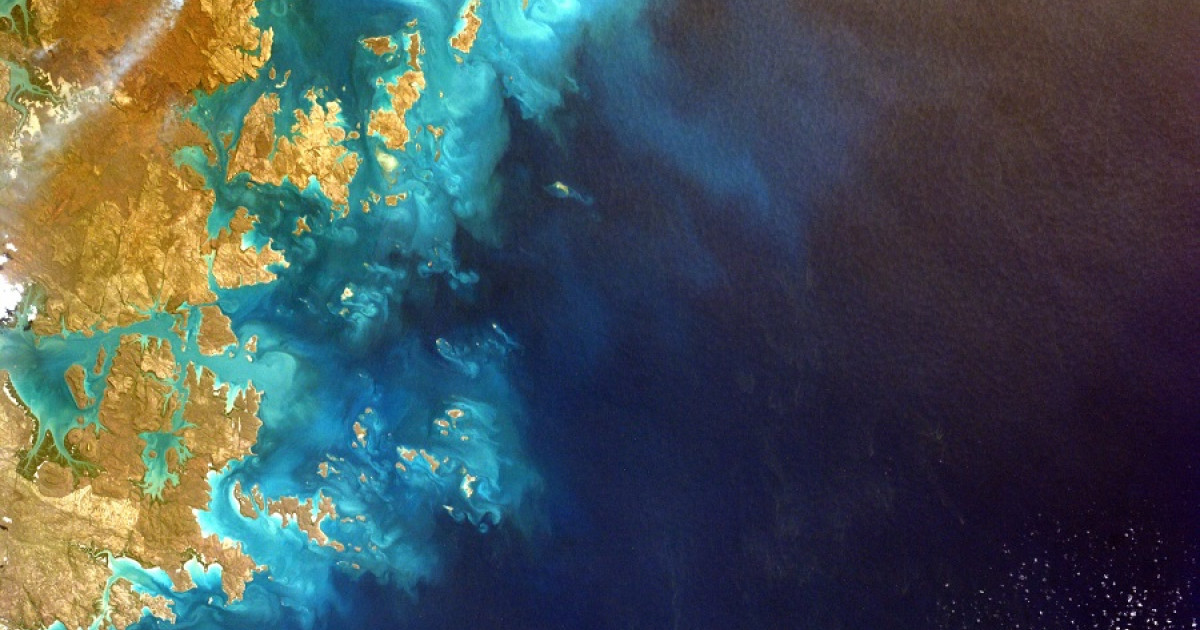 Los 6 niveles de organización ecológica (y sus características)