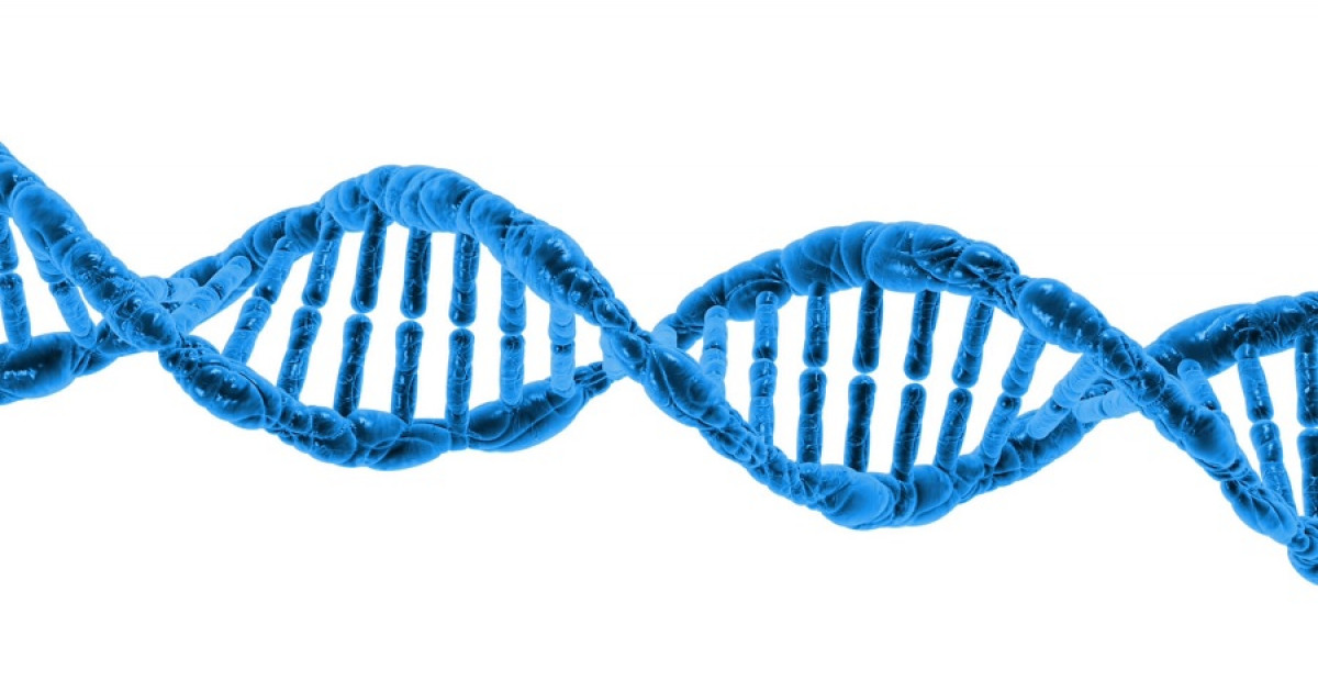 Síndrome de Kallman: síntomas, causas y tratamiento