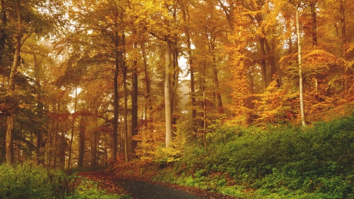 Regiones Naturales En El Mundo PROYECTO 8 GEOGRAFÍA: REGIONES