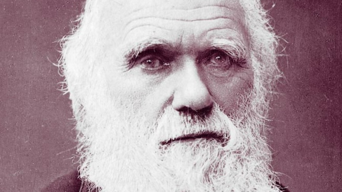 Richard Darwin's Instagram, Twitter & Facebook on IDCrawl