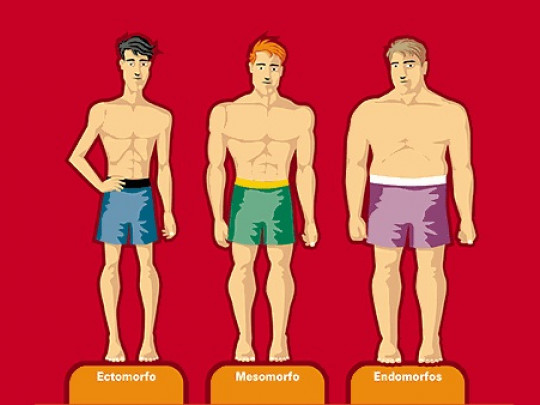 Endodermo: partes y desarrollo en la gestación