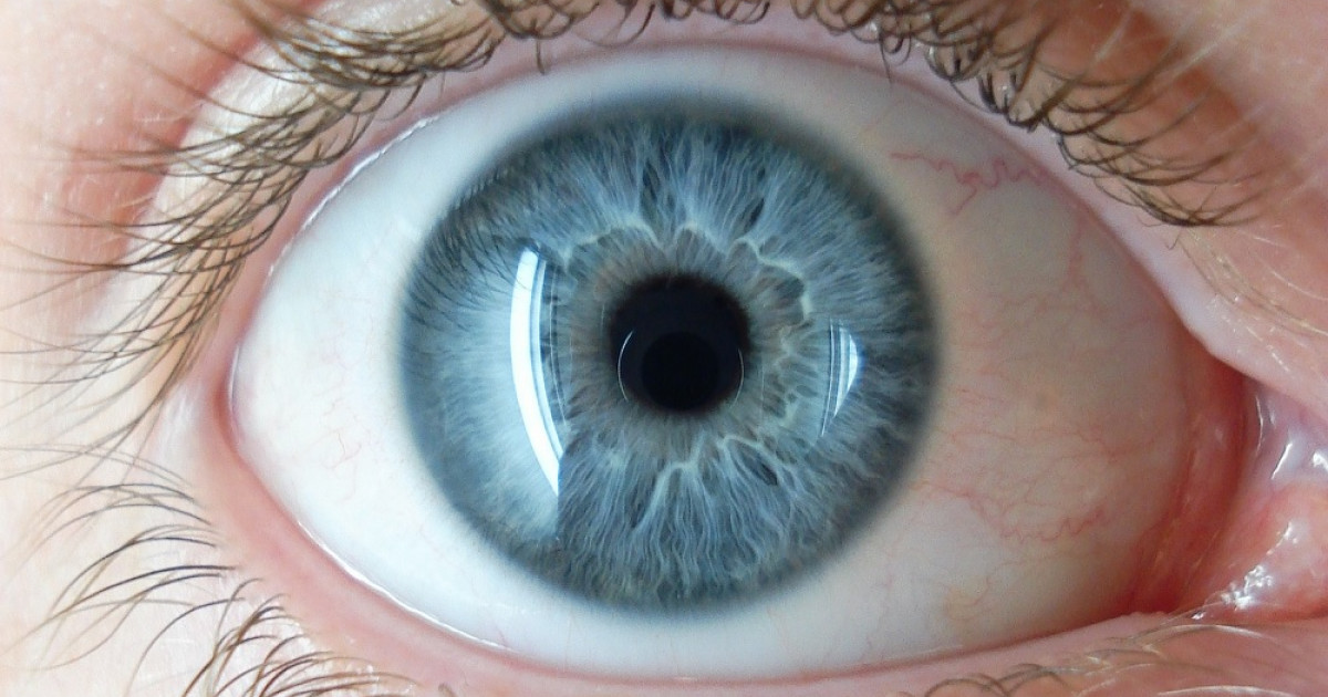 ¿Por qué parpadeamos automáticamente?