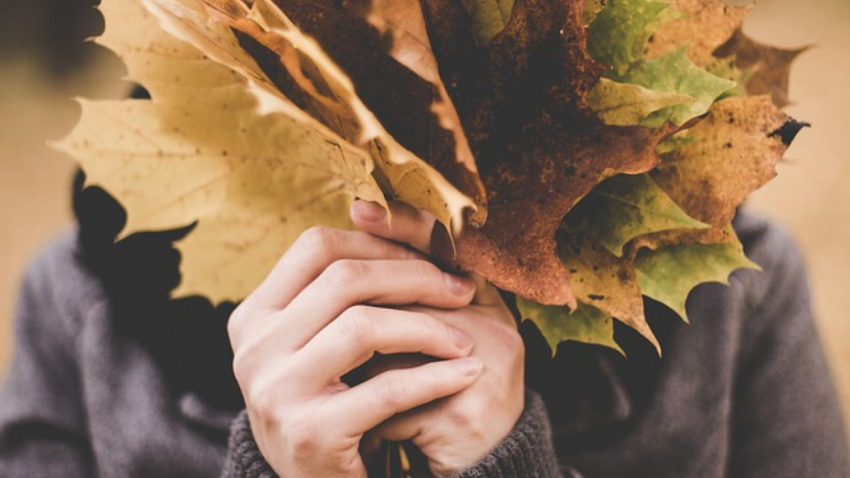 Hojas De Trabajo De Resiliencia Rechazo Social: Estrategias De