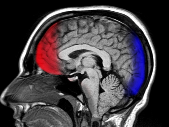 Sistema de recompensa del cerebro: ¿qué es y cómo funciona?