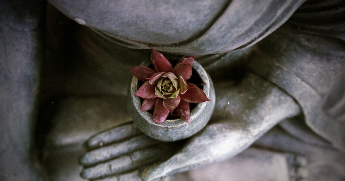 La Terapia Bioenergética de Alexander Lowen