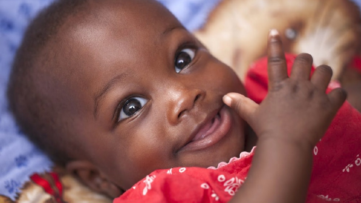 Etapas Del Desarrollo Del Lenguaje De Brown Brown's Stages Of Language