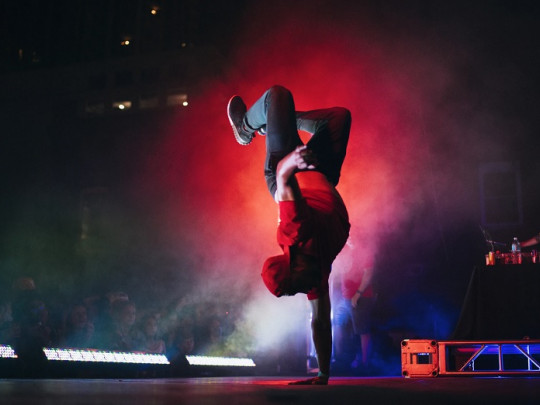 Subículo: partes y funciones de esta estructura cerebral