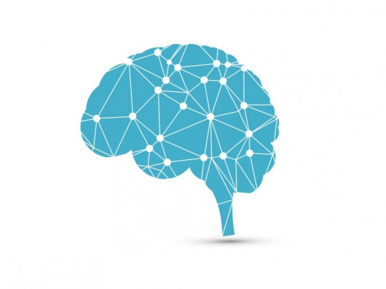 7 documentales que hablan sobre el cerebro humano