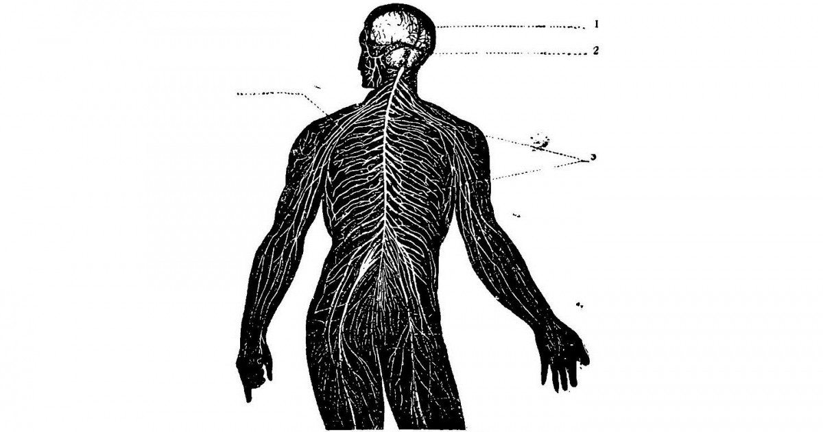 Parestesia: causas, tratamiento y fenómenos asociados