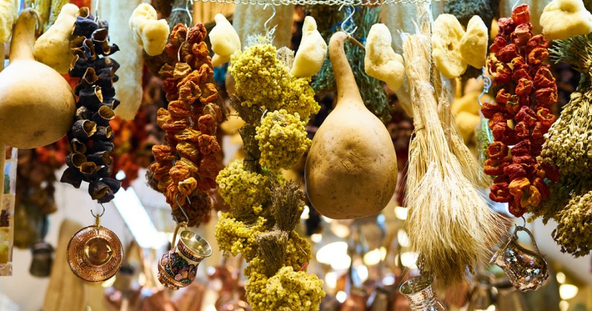 Elementos biogenésicos: qué son, tipos y funciones